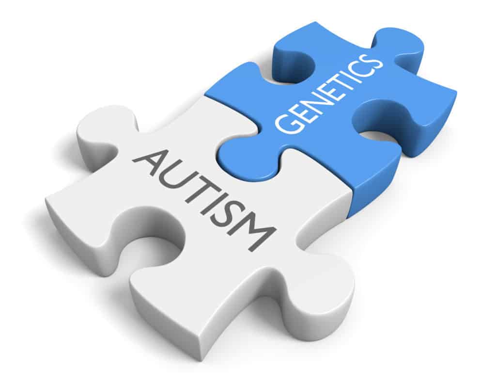 The Role of Genetics in Autism - Autism Research Institute